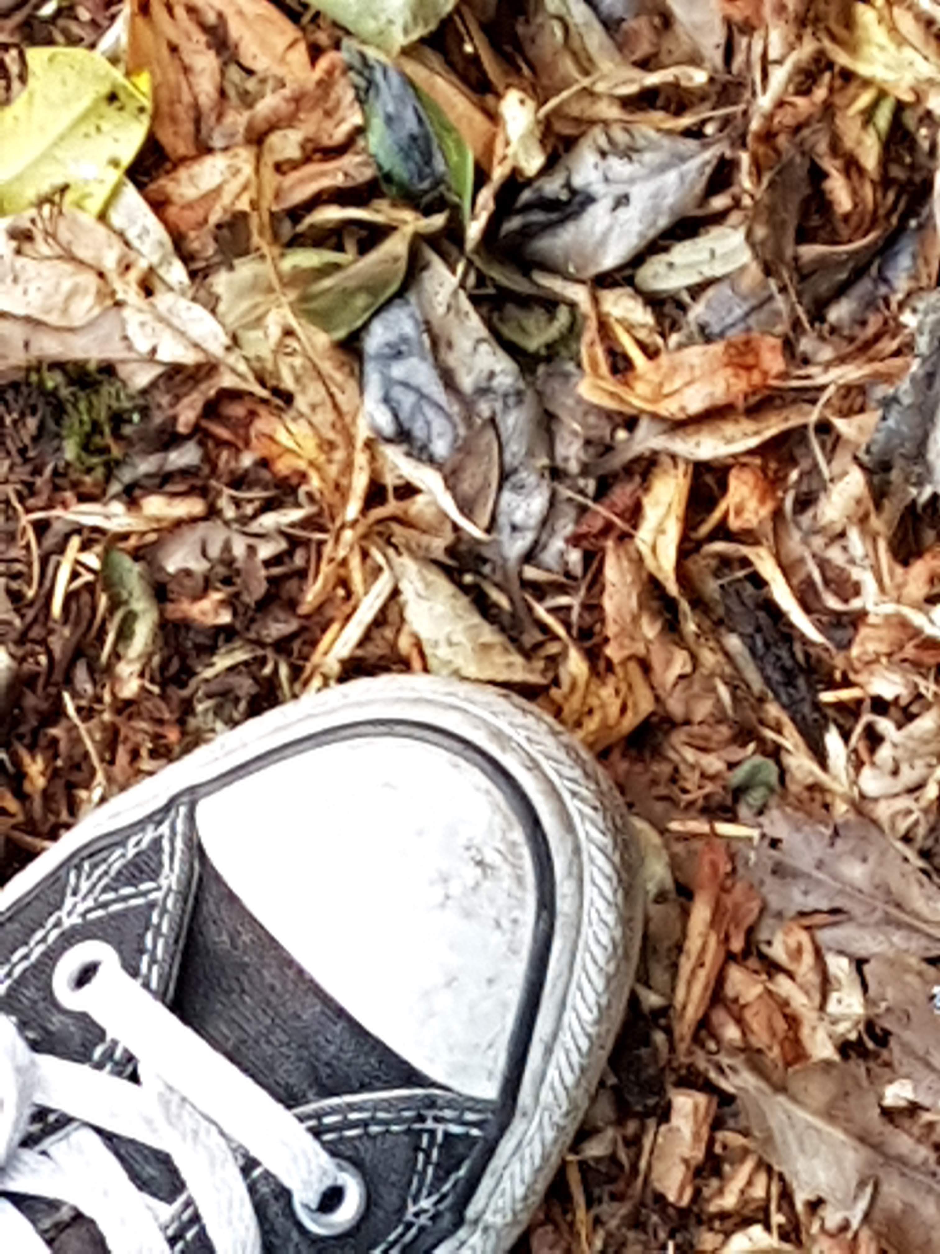 A view from the sole – emily slaney